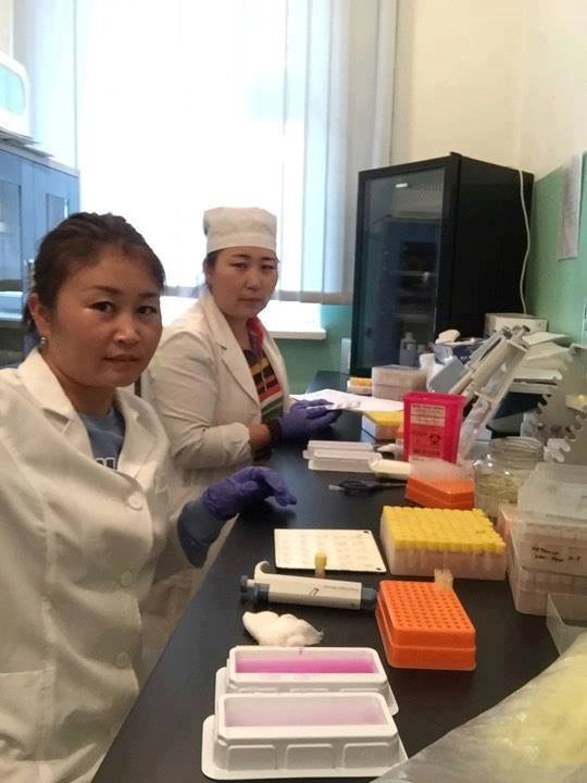 АРХАНГАЙ АЙМАГТ МАЛЫН ХАЛДВАРТ ӨВЧНИЙ ГАРАЛТ 43 7 ХУВИАР БУУРЧЭЭ