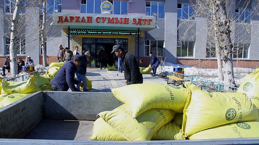НҮБ аас 34 малчин өрхөд хорголжин тэжээл олгов