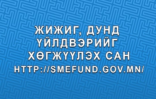 ЖДҮ ийг хөгжүүлэх сан хөнгөлөлттэй зээлд хамрагдах төслийг хүлээн авч
