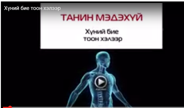ХҮНИЙ БИЕ ТООН ХЭЛЭЭР
