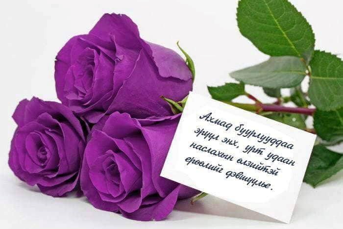 Олон улсын Ахмадын баярын мэнд хүргэе